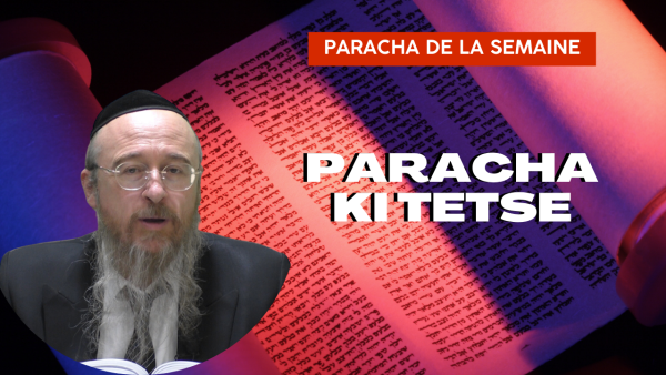 Paracha Ki Tetsé - Espace Torah